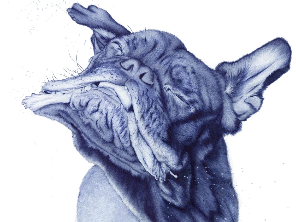 7 artistas del boli BIC - Artelista Magazine